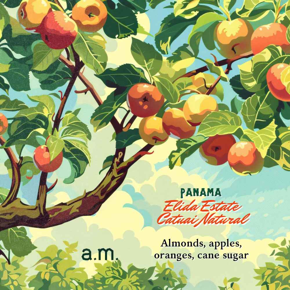 Panama Elida Estate – a.m. coffee and roastery