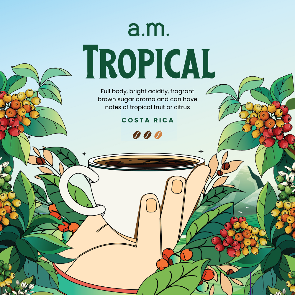 Tropical (Costa Rica) – a.m. coffee and roastery